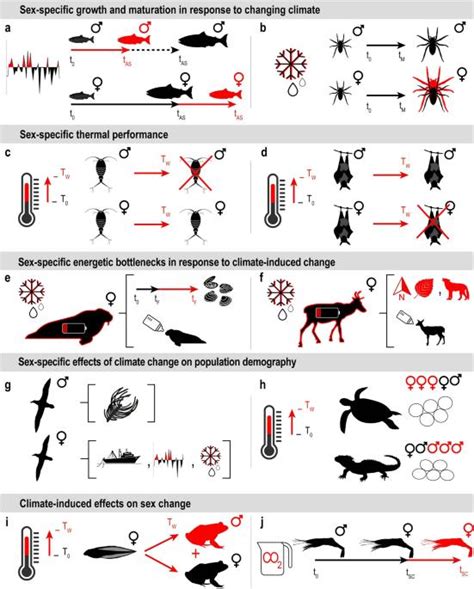 Dr Geetha Plackal On Linkedin Exploring Climate Induced Sex Based Differences In Aquatic And