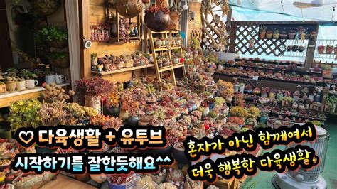주책바가지 깨비맘 ♥ 씩씩하게 잘~나가다가ㅠ죄송합니다아침 댓바람부터~옥상다육 옥상하우스 Youtube