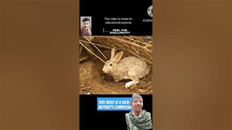 Sex Price Aur Like Karen 😁😁😀😃 ️‍🩹 ️‍🩹 ️‍🩹 ️‍🩹 ️‍🩹 ️‍🩹 ️‍🩹 ️‍🩹 ️‍🩹 ️‍🩹 ️‍🩹 Youtube