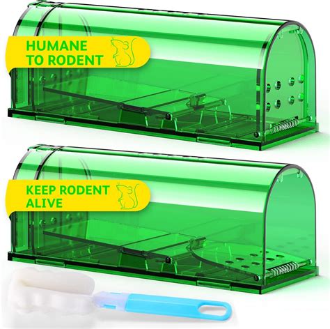 The Benefits Of Using Trapx Mice Gel An Effective Solution For Rodent