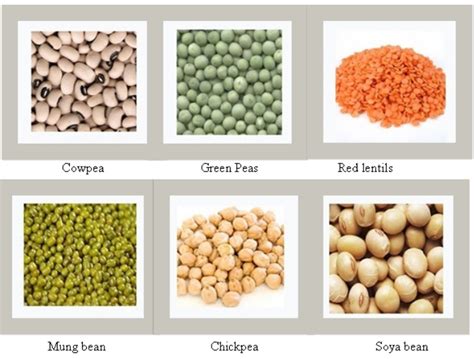 Different Types Of Grain Crops