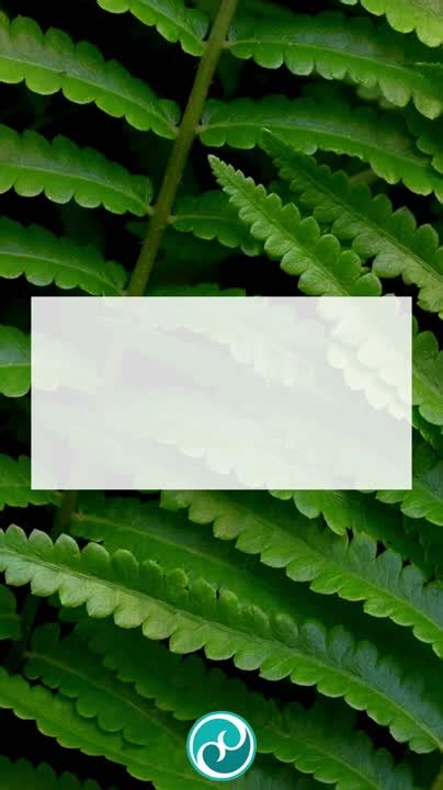 Video Emily Bootle Posted On Linkedin