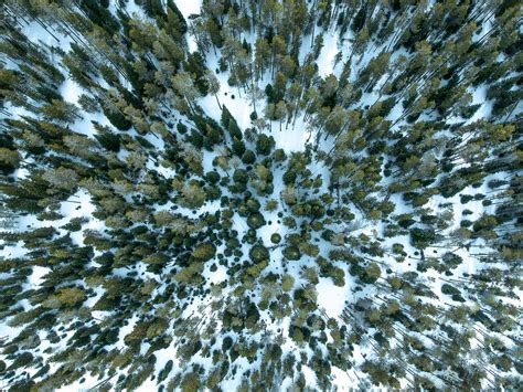 Random Forest Regression Random Forest Regression Is A By Chaya