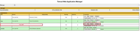 Java War File Already On Tomcat9 Webapps But Inaccessible On Website