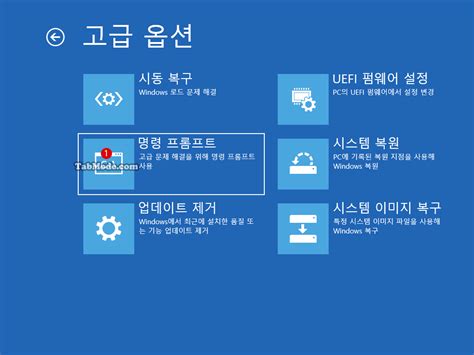 Windows 11 시작할 때 명령 프롬프트 열기 Tabmode