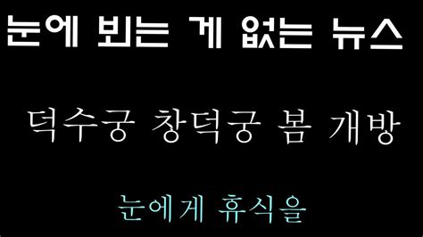 창덕궁 덕수궁 봄 특별 개방 Youtube