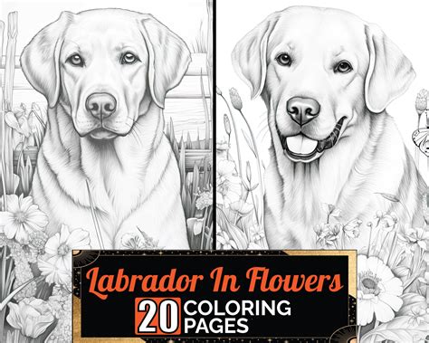 Labador Coloring Pages [2025]