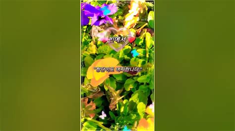 빈예서도련님짝사랑 고백 감성장인 Youtube