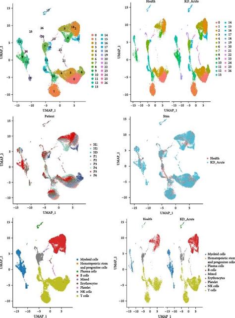cluster distribution analysis a cell types identified in peripheral