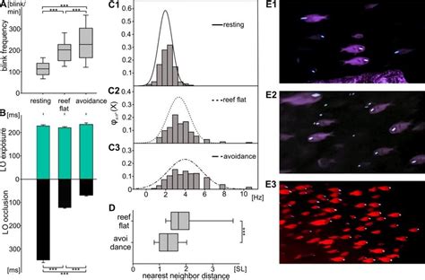 Analysis Of The Blinking Behavior And Nearest Neighbor Distance Of