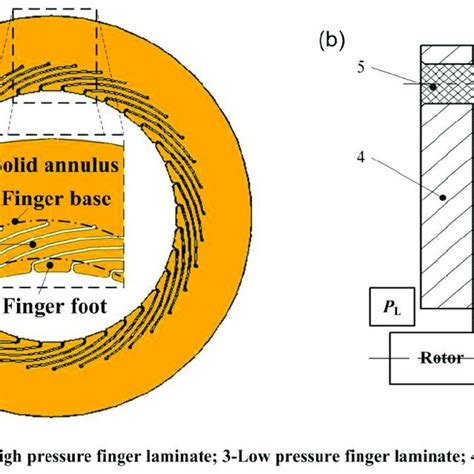 Geometric Structure Of Finger Seal Download Scientific Diagram