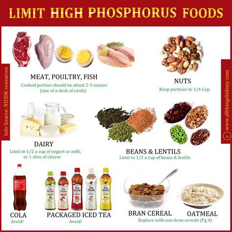 Foods High In Phosphorus At Gail Key Blog