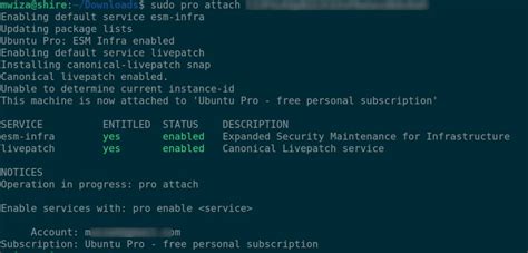Take Your Ubuntu Experience To The Next Level With Ubuntu Pro