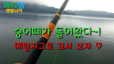 숭어떼가 들어 왔다 메탈지그로 꼬셔보자 Youtube
