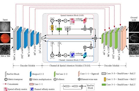 Cs2 Net Deep Learning Segmentation Of Curvilinear Structures In