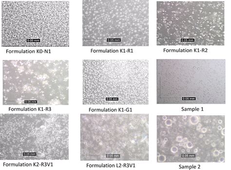 Microphotographs 900x Of The Alternative Emulsions And The Samples 1 Download Scientific