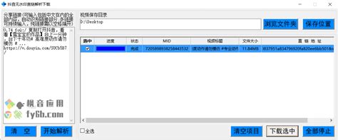 Windows 多平台视频解析下载v16 便携b版 枫音应用