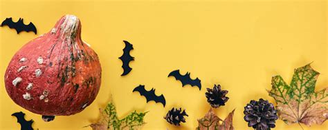 가을 구성 호박 말린 잎 소나무 콘 및 배경으로 만든 프레임 템플릿 가을 가을 할로윈 추수 감사절 개념 플랫 레이 상단 보기 복사 공간 배너 0명에 대한 스톡 사진 및 기타