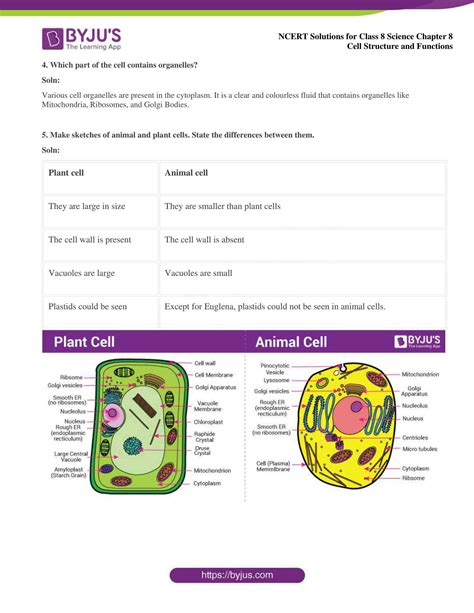 Ncert Class X Science Solutions Chapter 8 How Do