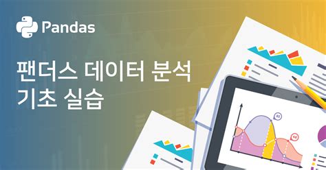 Pandas 팬더스 데이터분석 기초 실습 구름edu Pandas 팬더스 데이터분석 기초 실습 구름edu