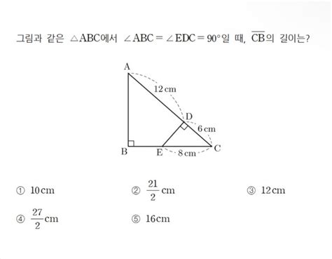 중2 수학 닮음 삼각형 지식in