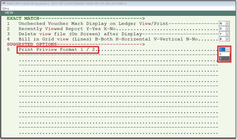 How To Set Print Preview Format In Marg Software