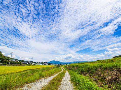秋空 GANREF