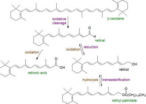 Vitamin A Retinol Structure