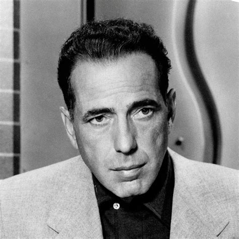 Stephen Bogart's Instagram, Twitter & Facebook on IDCrawl
