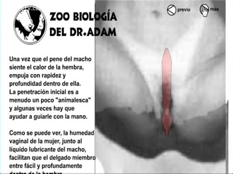 Cartoon Animal Porn Dog Sex Digram Sex Pictures Pass