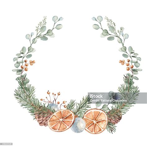 겨울 식물과 푸른 유리 공을 가진 크리스마스 화환 전나무 가지 유칼립투스 솔방울 및 말린 오렌지 조각의 손으로 그린 식물 그림은 흰색 배경에 고립되어 있습니다 카드 인쇄 및