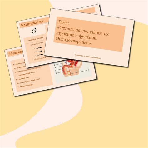 Презентация по биологии для 9 класса по теме Органы репродукции их строение и функции