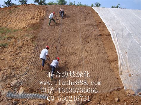 湖北三峡翻坝边坡治理工程 锚杆 格梁 边坡施工现场 湖北联合边坡绿化有限公司