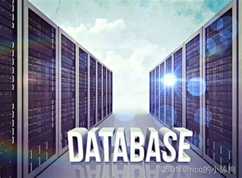数据库管理系统postgresql部署安装完整教程postgresql数据库安装 Csdn博客