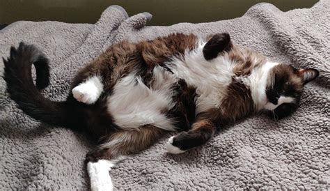 97 Best Cassy Images On Pholder Euphoria Paladins And Hot Reporters