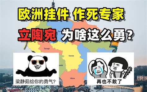 欧洲挂件 立陶宛：叫板中俄坑自己，它为啥这么敢？ 星辰趣味屋 星辰趣味屋 哔哩哔哩视频