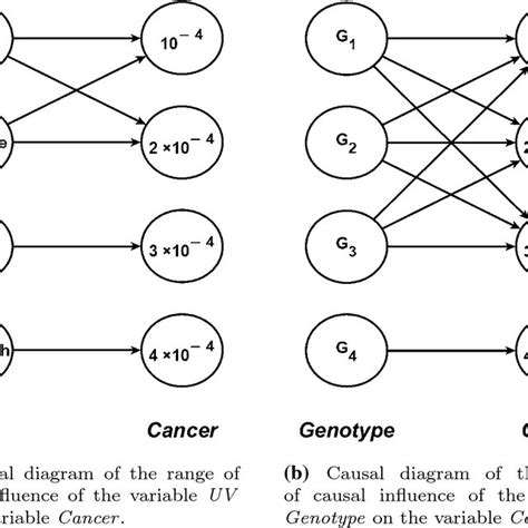 Causal Diagrams Representing The Causal Relationships Between Download Scientific Diagram