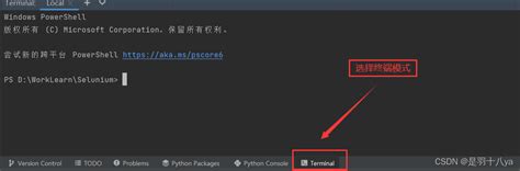 Python帮助文档的查看方式——python初学者必看 Csdn博客 Python帮助文档的查看方式——python初学者必看 Csdn博客