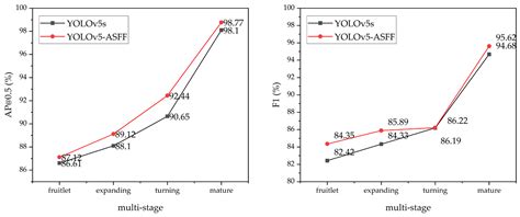 Yolov5 Asff A Multistage Strawberry Detection Algorithm Based On