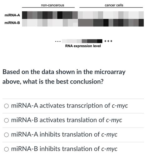 Solved C Myc Is A Gene That Promotes Cell Division In