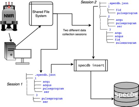 Movement Of Nmr Time Domain Data From Nmr Spectrometer To Specdb Fids Download Scientific
