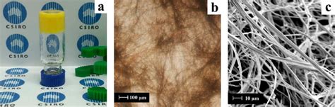 Figure 1 From Azobenzene Based Multistimuli Responsive Supramolecular