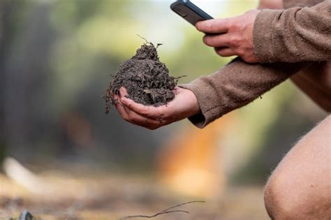 Premium Photo University Babe Conducting Research On Forest Health Farmer Collecting Soil