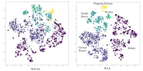 Node Feature Extraction With And Without Label Smoothing Ls We