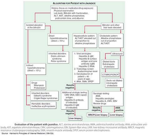 Evaluation Of Jaundice Manual Of Medicine