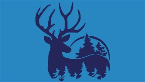 Тест на особистість перше що ви побачите визначить чи є ви доброю людиною Infobae