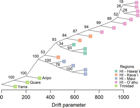TreeMix Admixture Graph Results Line Length Denotes The Amount Of