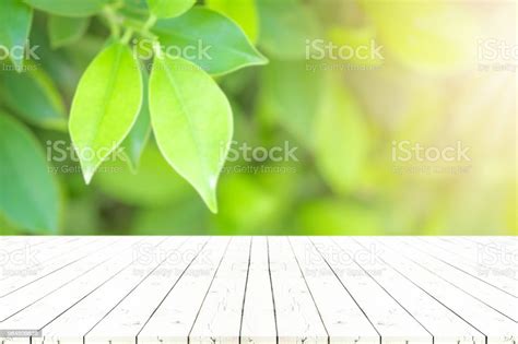 흐림 자연 배경 위에 위에 관점 흰색 나무 테이블을 사용할 수 있습니다 모의 몽타주 제품에 대 한 표시 또는 레이아웃 디자인 공란에 대한 스톡 사진 및 기타 이미지 Istock