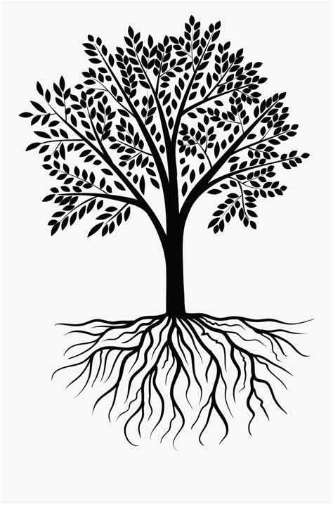 Tree Root Vector Png Free Transparent Clipart ClipartKey