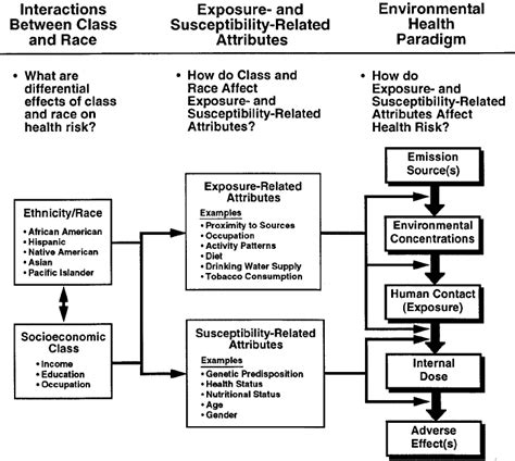 Conceptual Model For The Relationships Between Sociodemographic Download Scientific Diagram